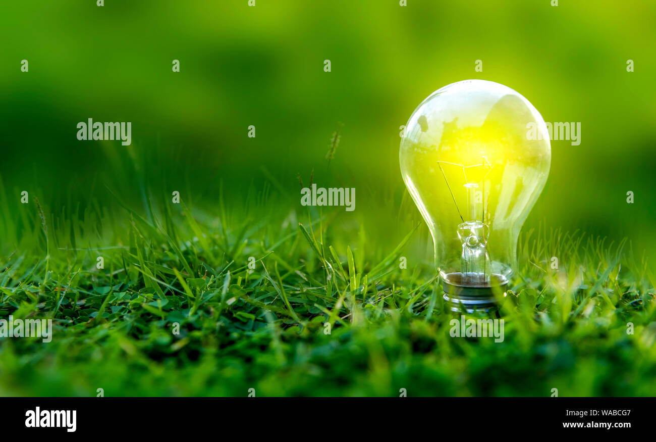 Renewable energy concept Earth Day or environment protection Hands ...