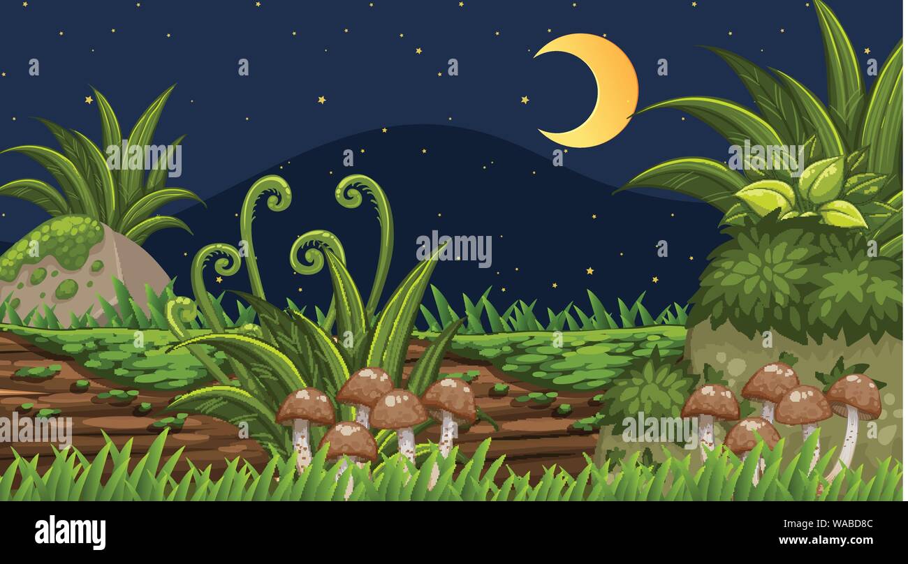 Landscape background design of park at night illustration Stock Vector ...