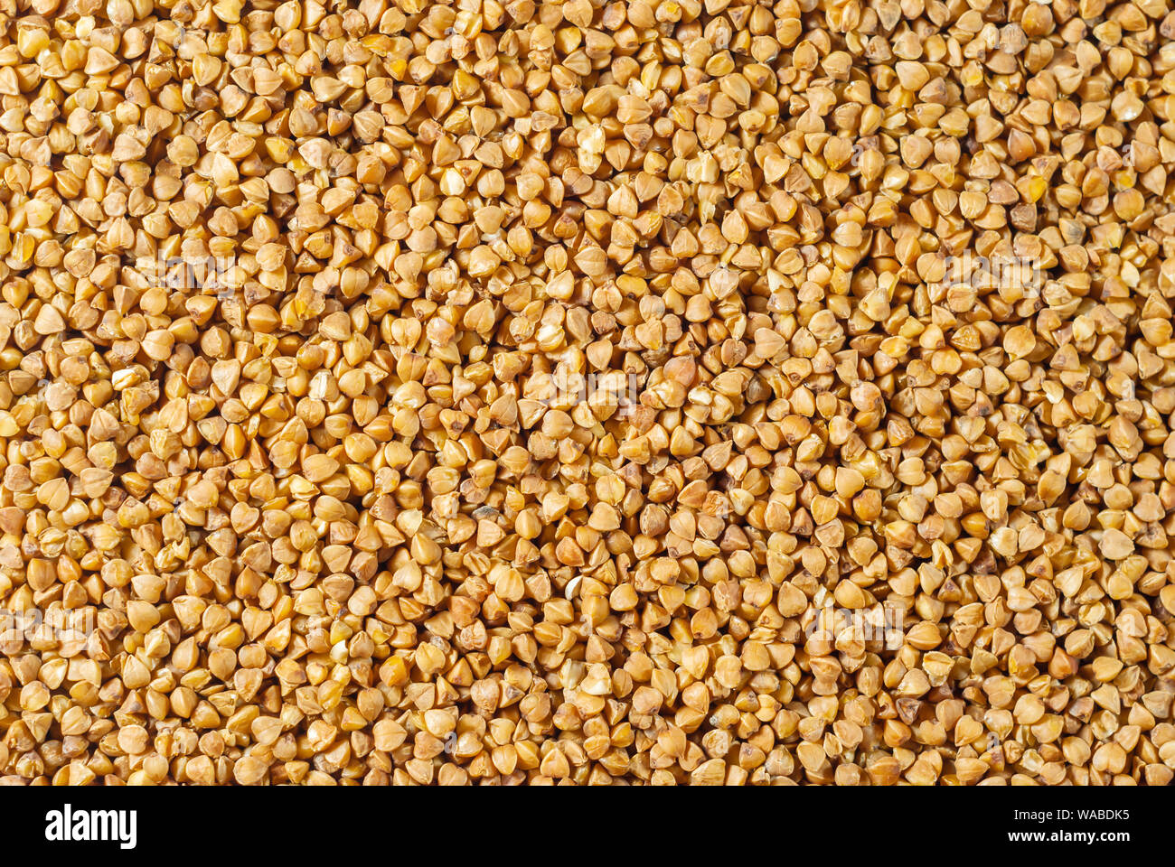background, texture - buckwheat grain Stock Photo - Alamy