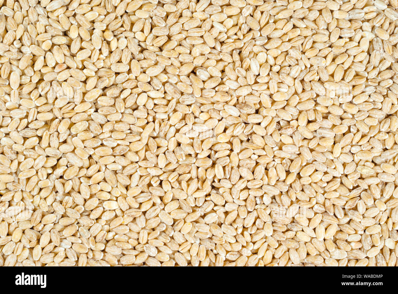 background, texture - pearled barley grain Stock Photo - Alamy