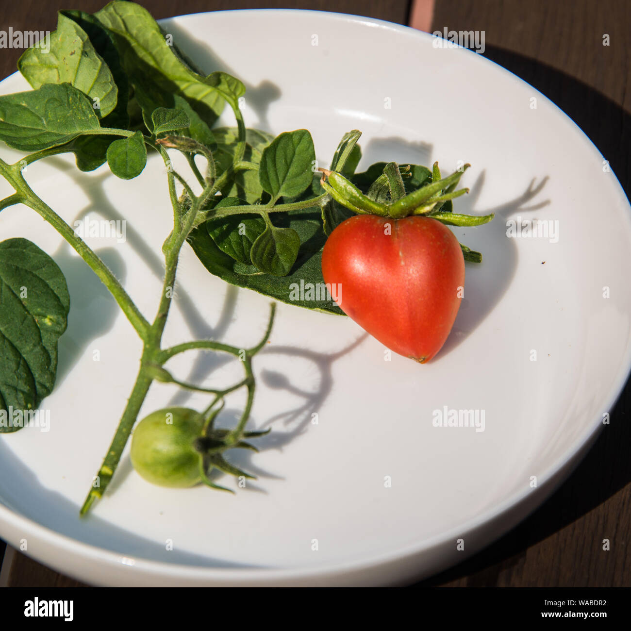 Heart shaped tomato Stock Photo - Alamy