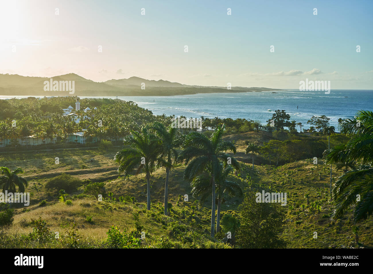 Tropical oceanfront resort with palm trees and hilly landscape Stock ...