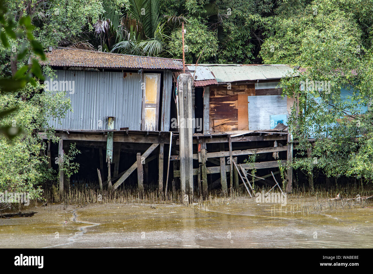 Poor houses on the muddy river bank. Metal shacks stand on wooden beams ...