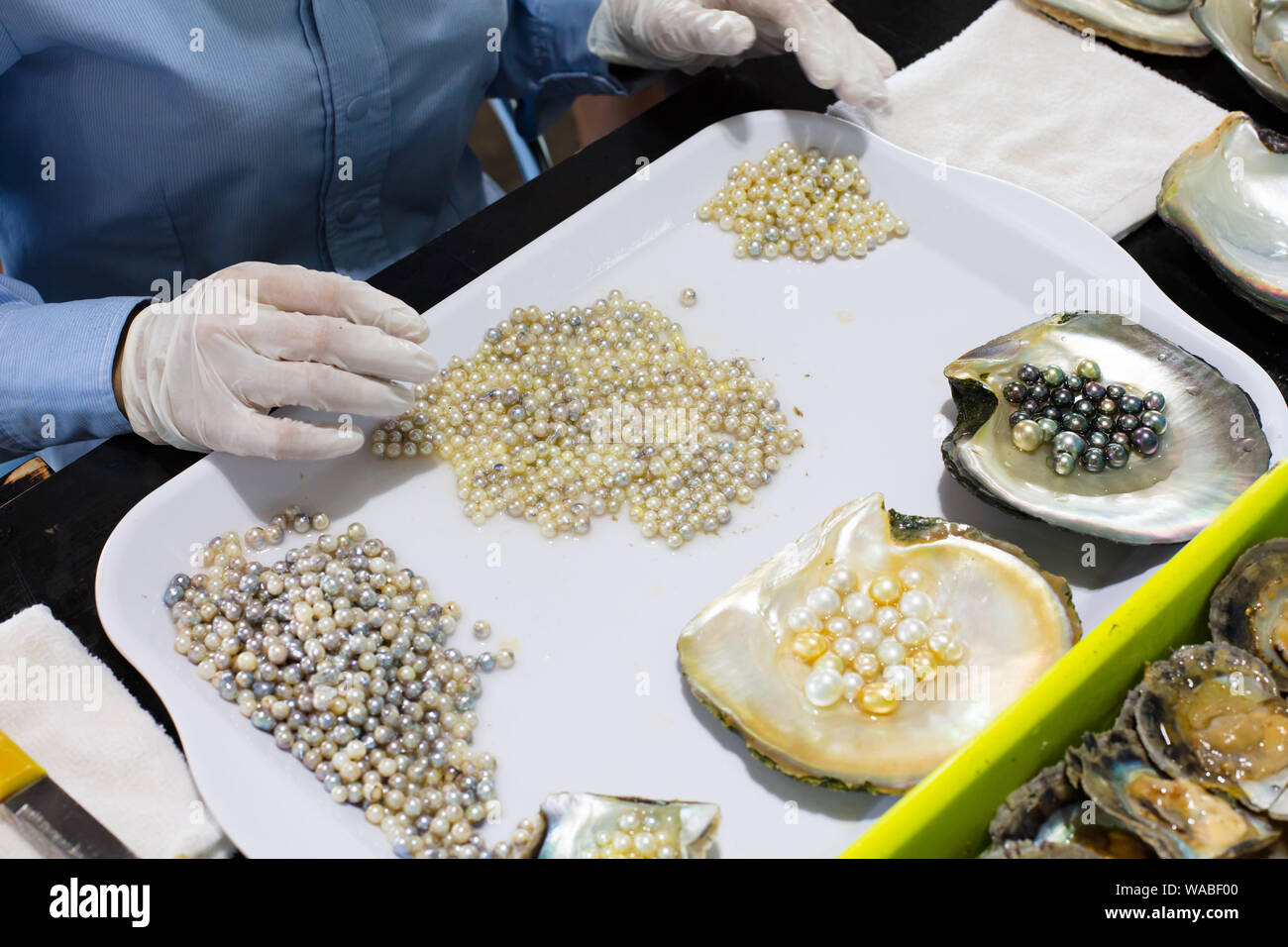 A pearl farm in operation in Ha Long, Vietnam Stock Photo - Alamy