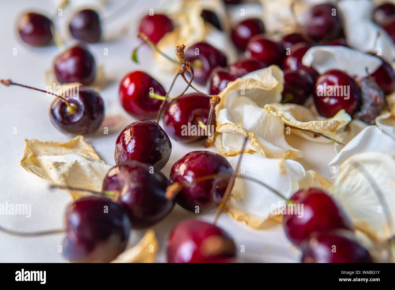 Rotten fruits hi-res stock photography and images - Alamy