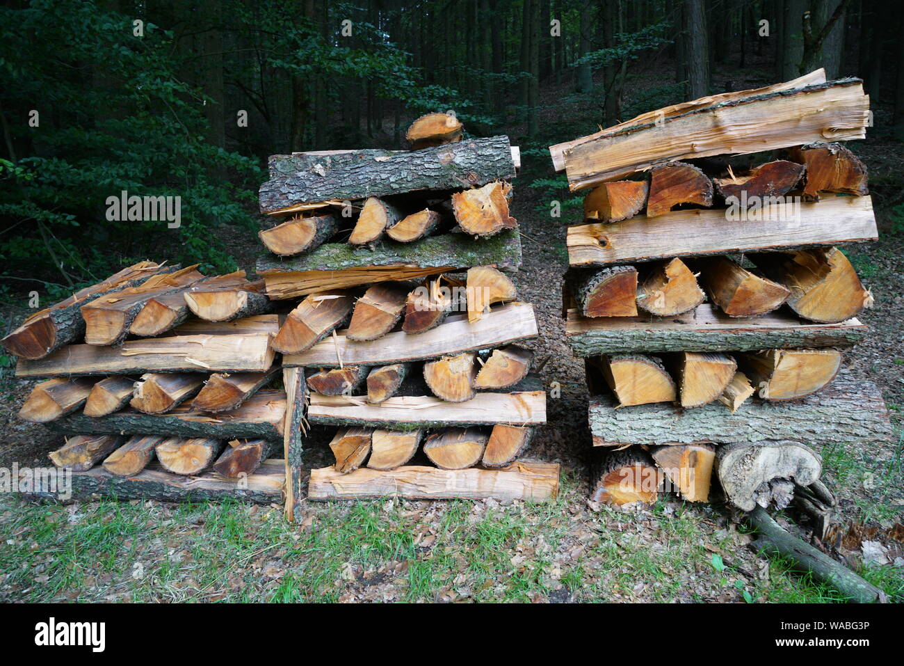 Lumber Drying Stock Photos & Lumber Drying Stock Images - Alamy