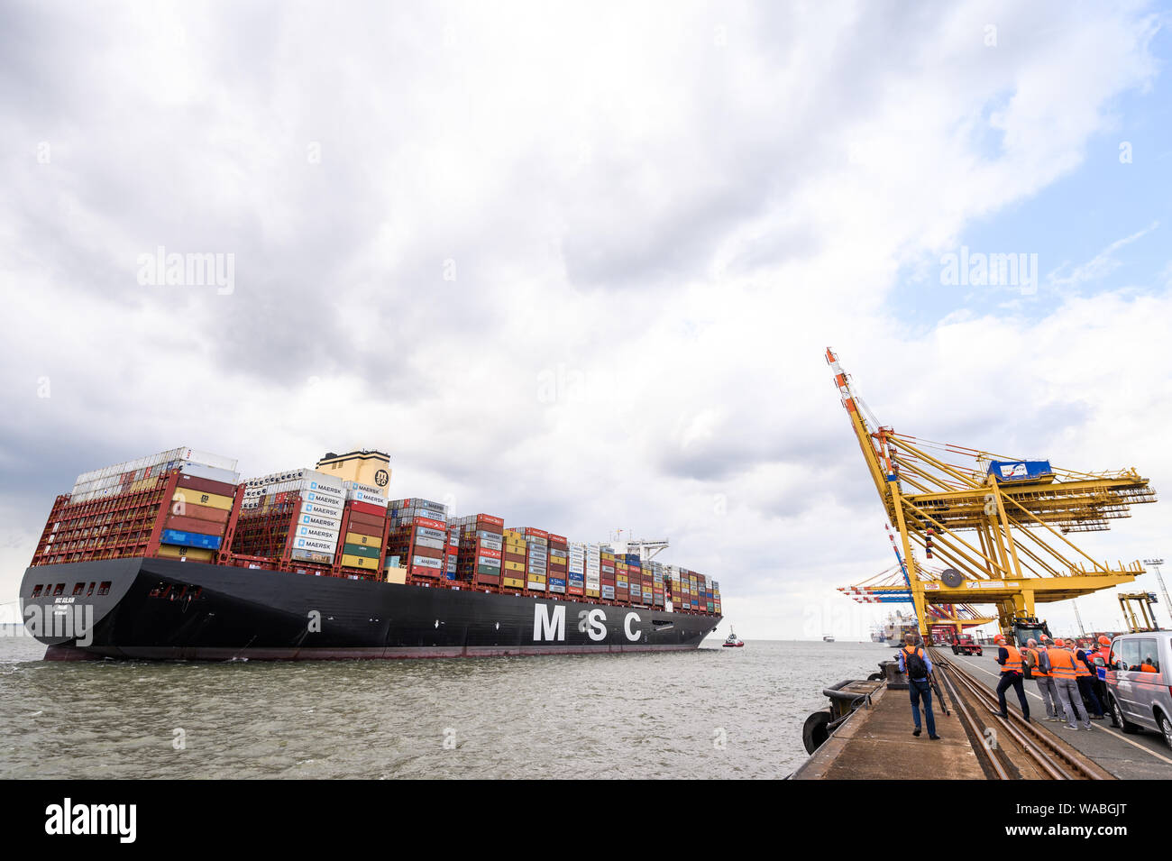 Msc gulsun hi-res stock photography and images - Alamy