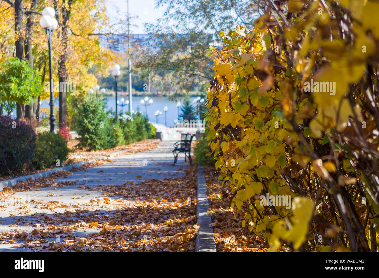 Autumn cityscape on a Sunny day - yellow autumn trees in the Park ...