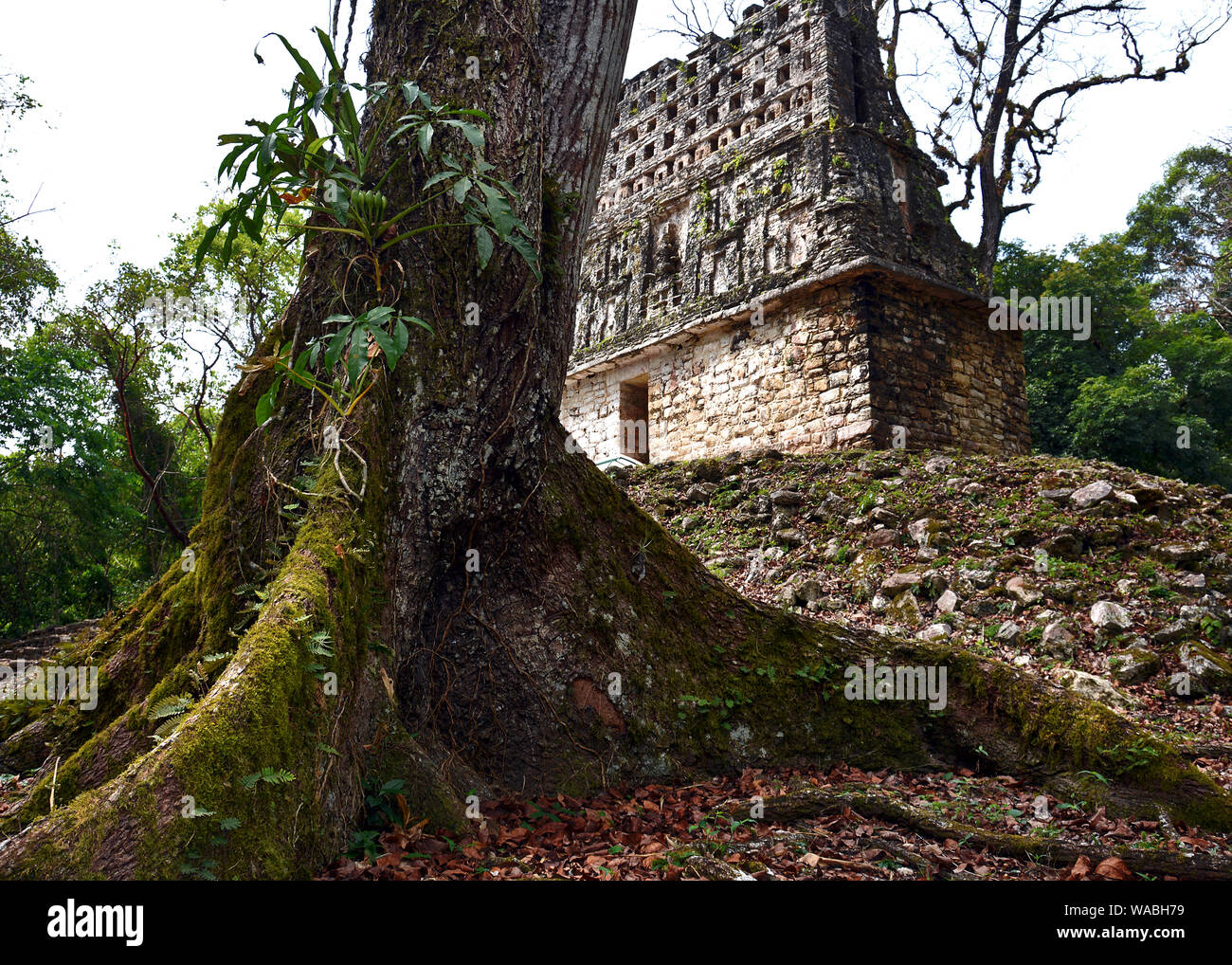 mayan temples mexico Stock Photo - Alamy