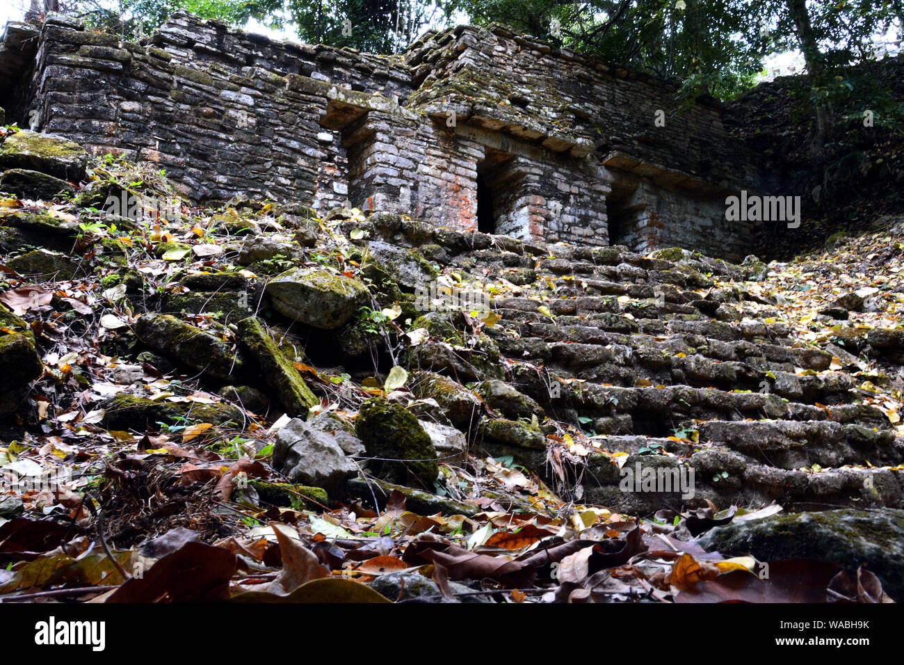 mayan temples mexico Stock Photo - Alamy
