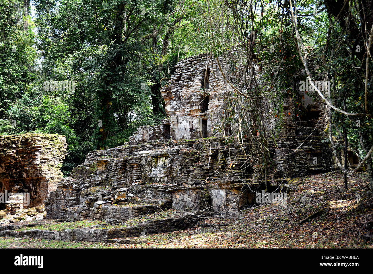 mayan temples mexico Stock Photo - Alamy