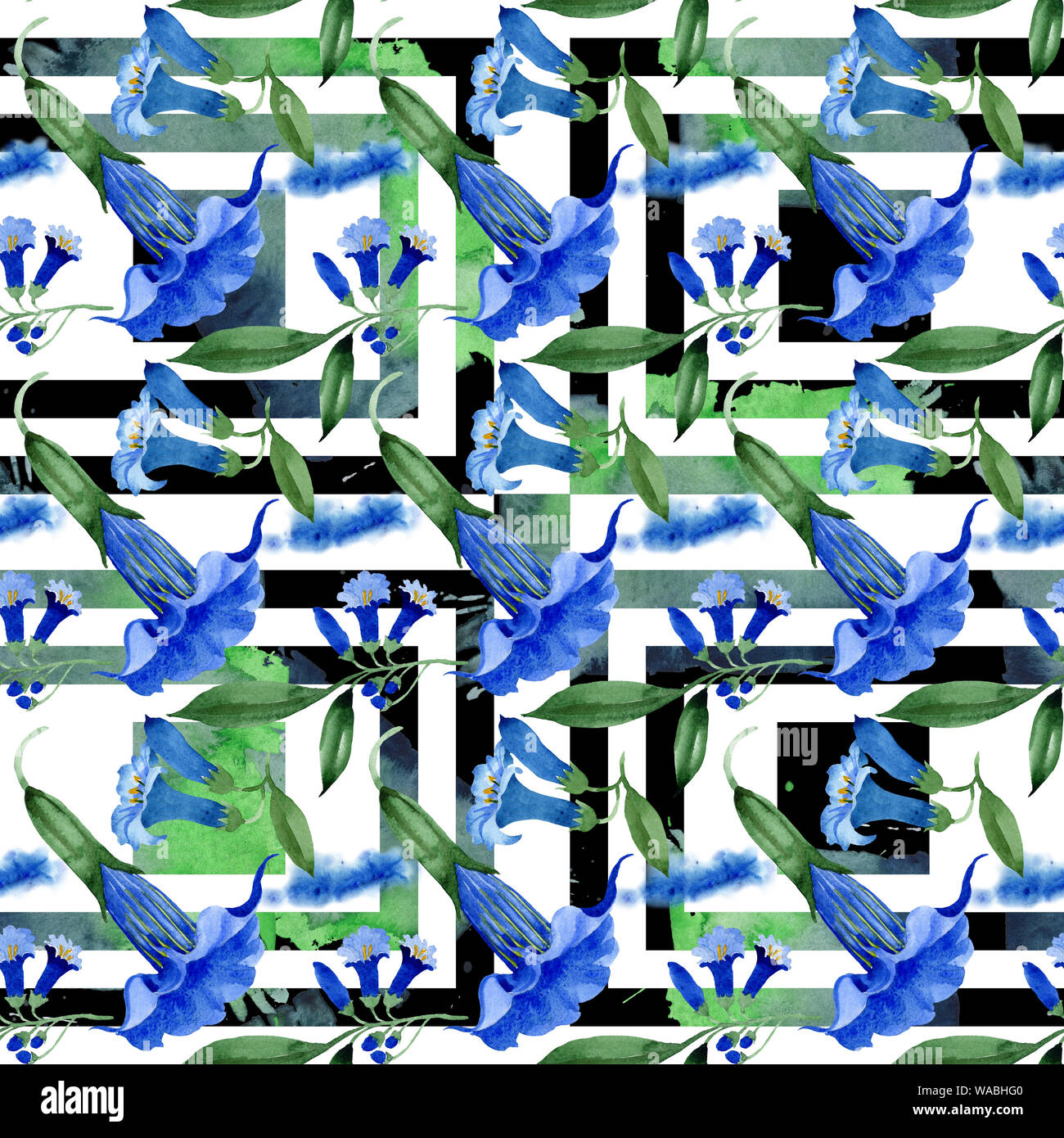 Blue brugmansia floral botanical flowers. Wild spring leaf wildflower ...