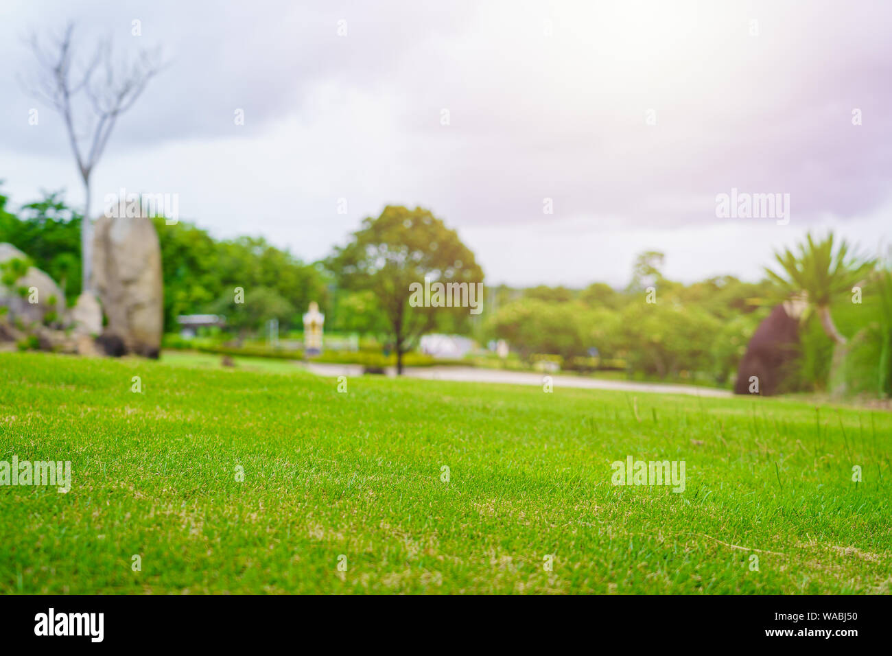 Focus nature green grass in golf court garden blur park on Sky, stone ...