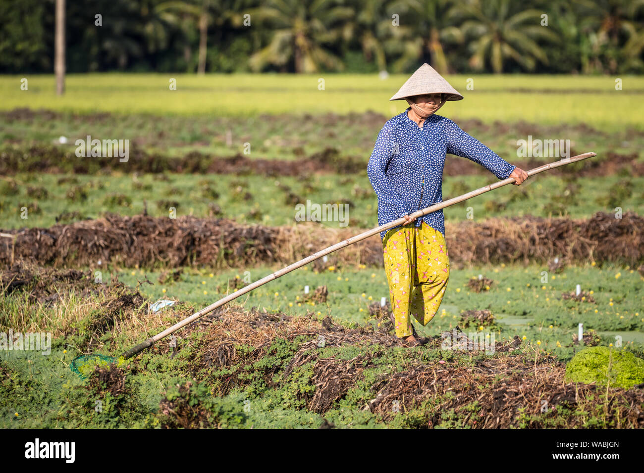 Mekong Delta, Vietnam - September 28, 2018: Unidentified local people ...