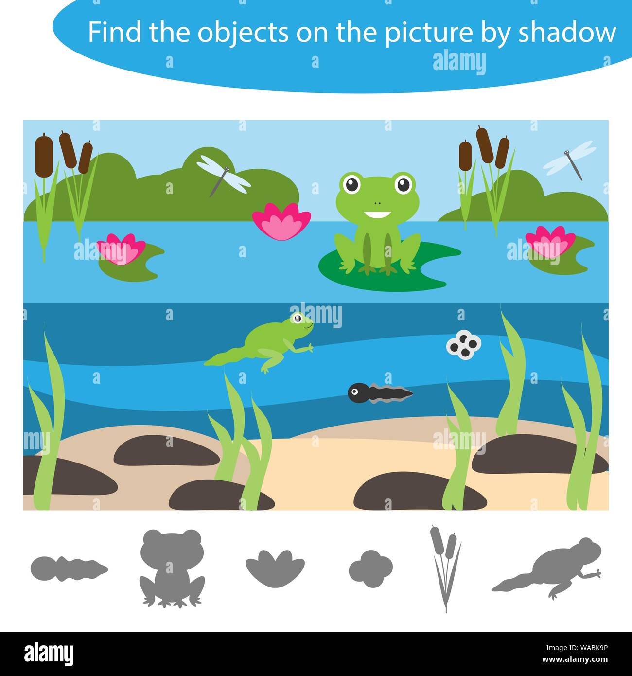Find the objects by shadow, game for children pond with frog in cartoon ...