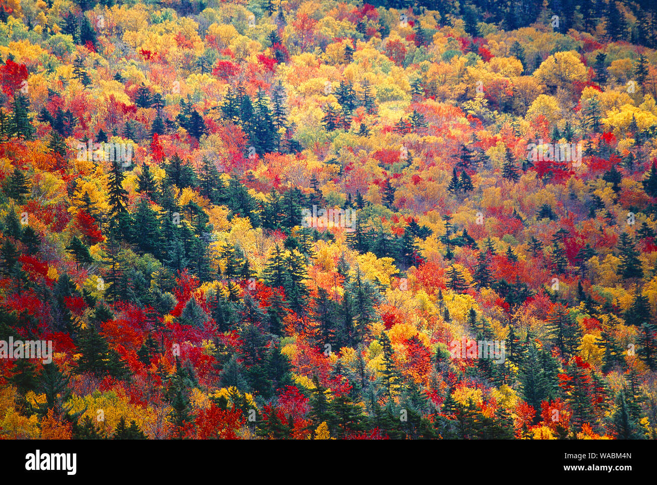 USA. New Hampshire. White Mountains National Forest. High viewpoint of ...