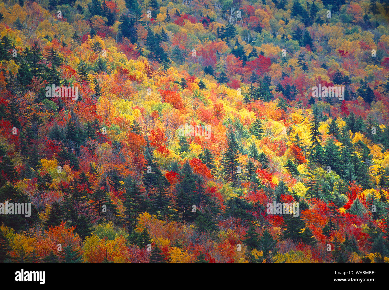 USA. New Hampshire. White Mountains National Forest. High viewpoint of ...