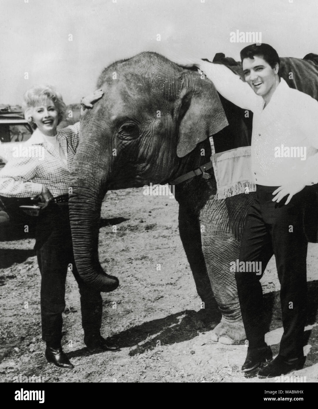 Roustabout And Elvis Presley High Resolution Stock Photography and ...