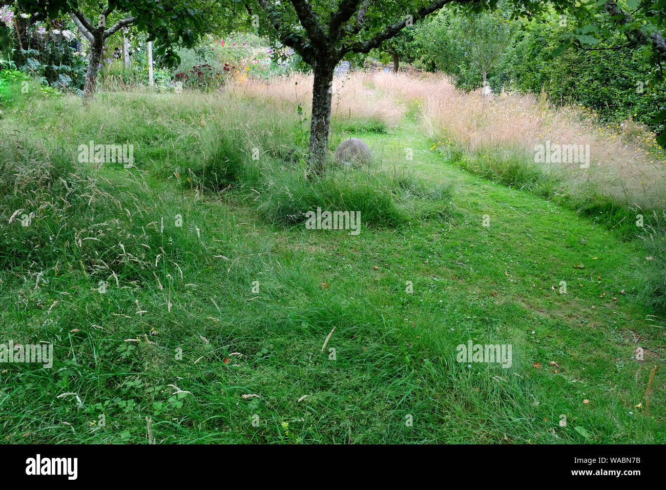 Mown path through long grass garden hi-res stock photography and images ...