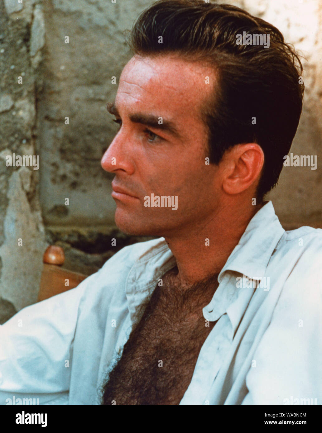 Montgomery Clift (circa 1957) File Reference # 33848-258THA Stock Photo ...