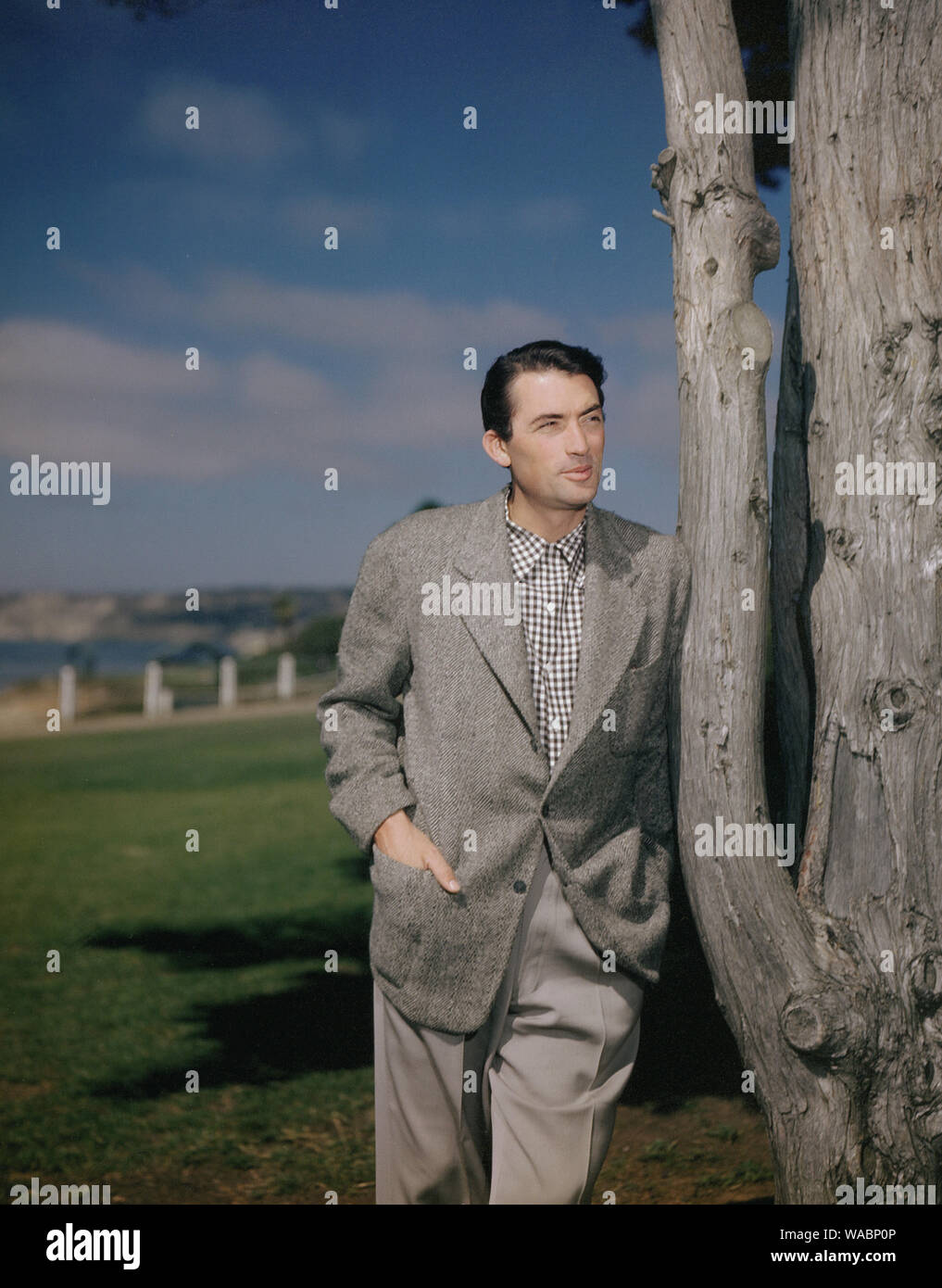 Gregory peck color portrait hi-res stock photography and images - Alamy