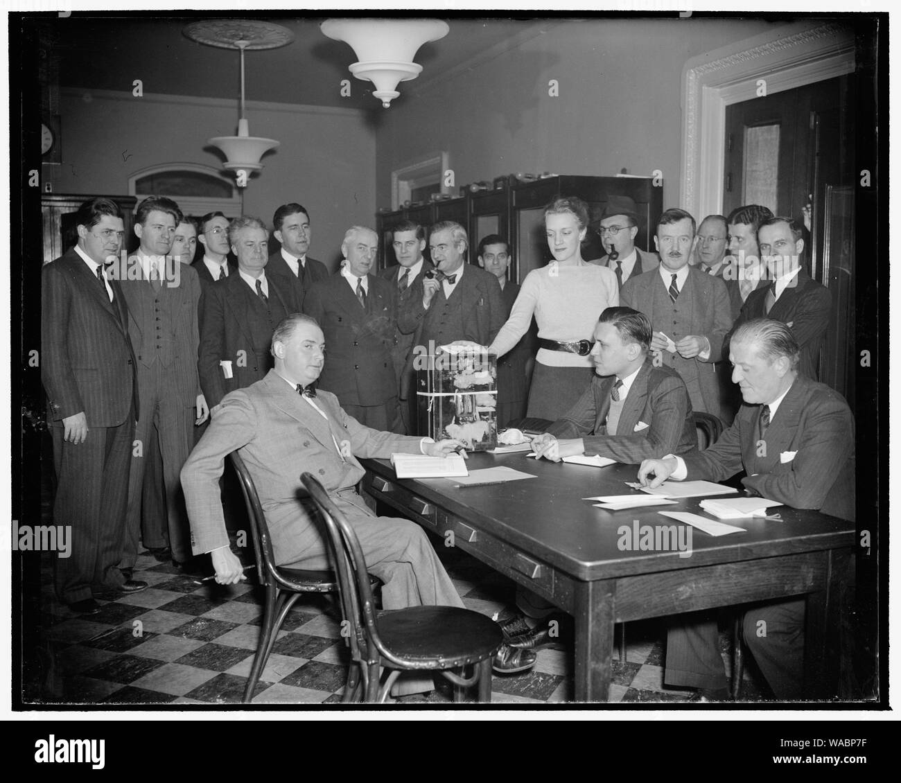 Next chester Cut Out Stock Images & Pictures - Alamy