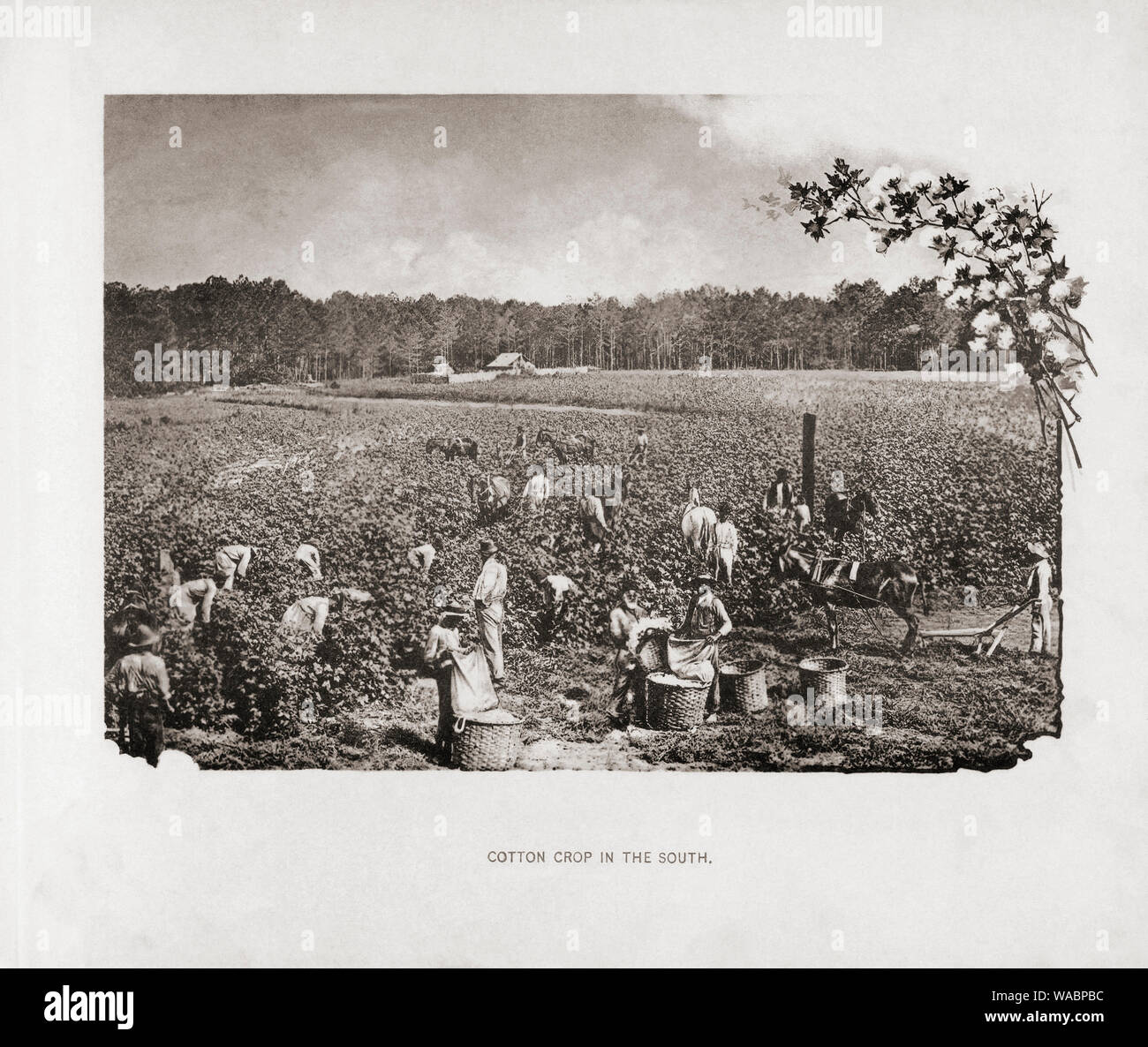 19th century agriculture america hi-res stock photography and images ...