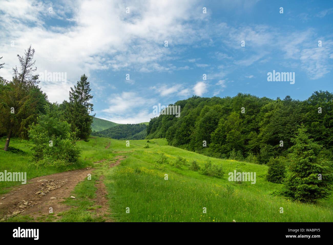 Beautiful green meadow in the mountains. Trail for tourists. Blue sky with clouds Stock Photo ...