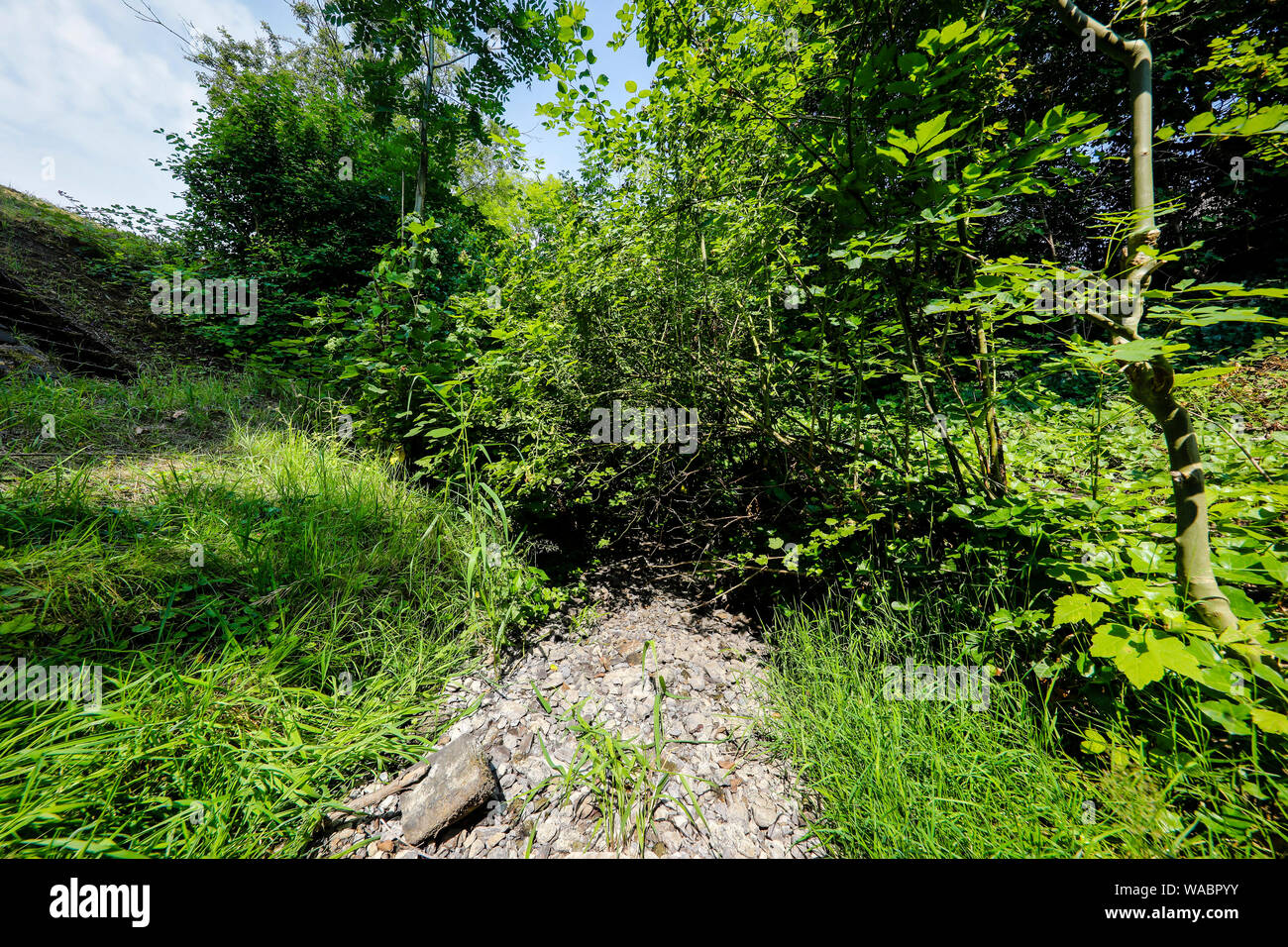 Herne, Ruhr area, North Rhine-Westphalia, Germany - dry brook bed ...