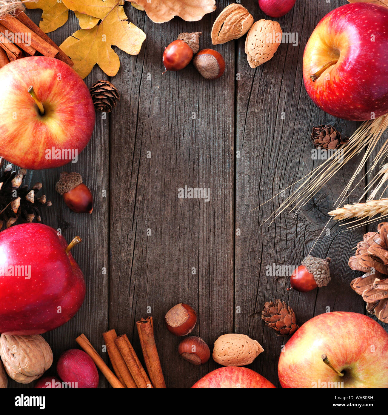 Autumn square frame of apples and fall ingredients on a rustic wood ...