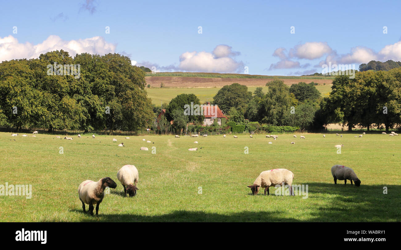 English farming landscape hi-res stock photography and images - Alamy