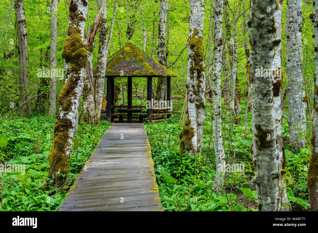 Timber structure hi-res stock photography and images - Alamy