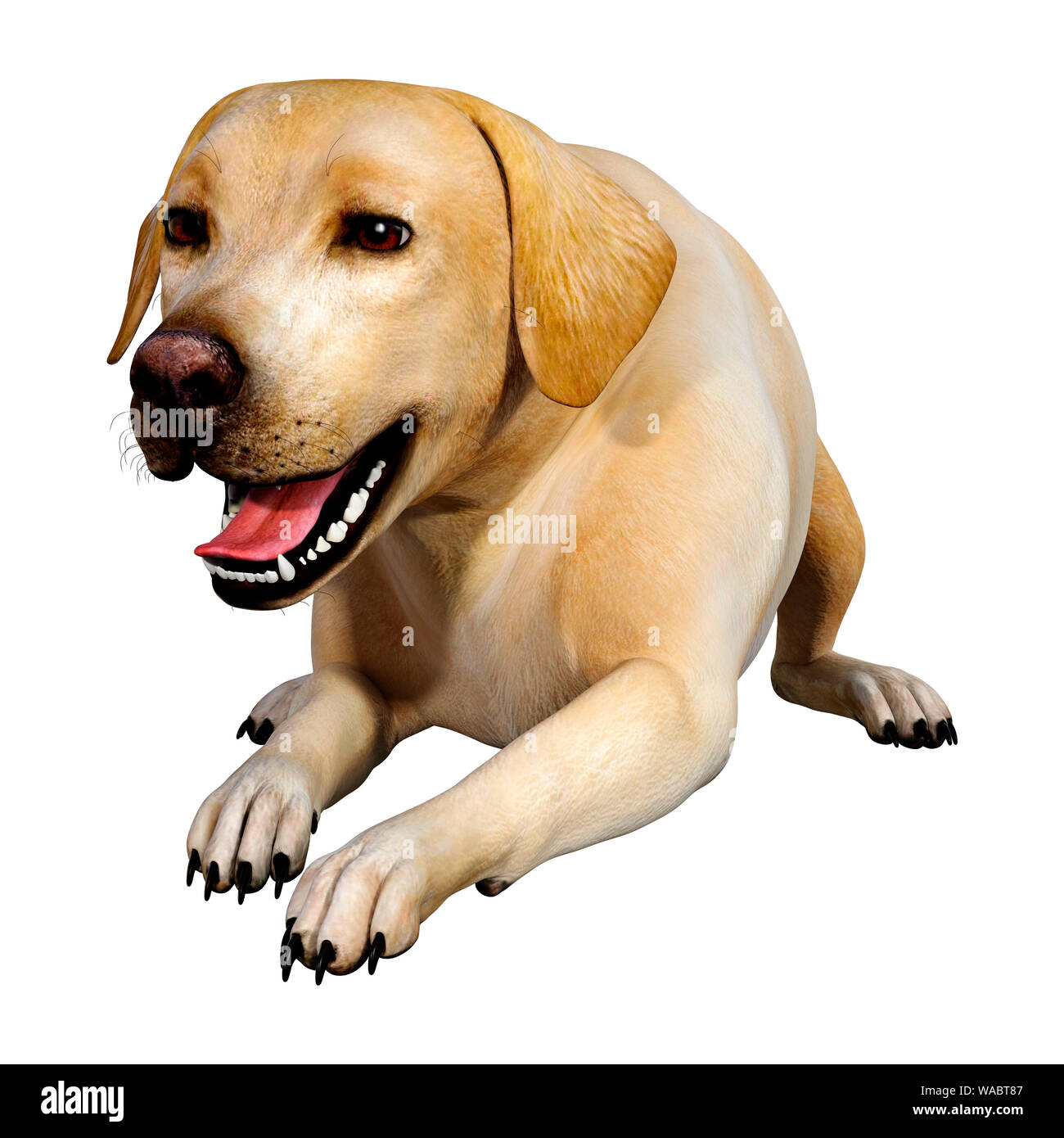 3D rendering of a yellow labrador dog isolated on white background ...