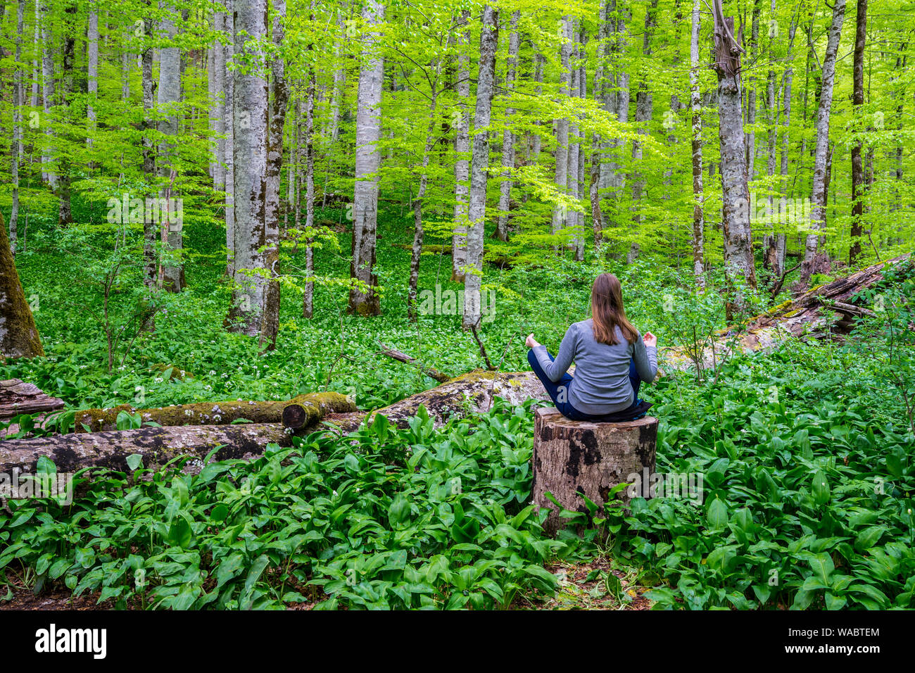 Girl Sitting On Tree High Resolution Stock Photography and Images - Alamy
