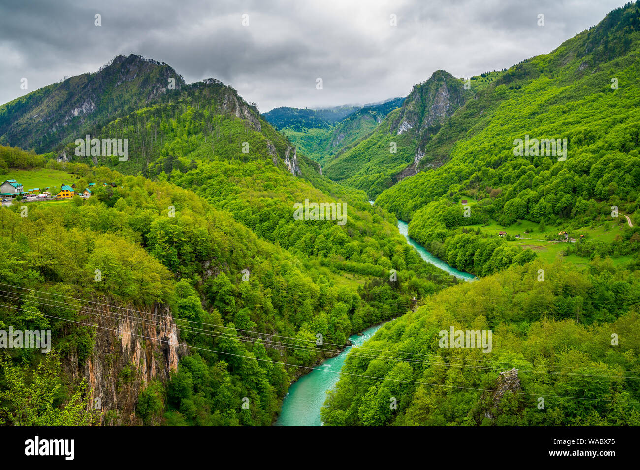 Montenegro, Many zip line wires crossing green tara canyon nature ...