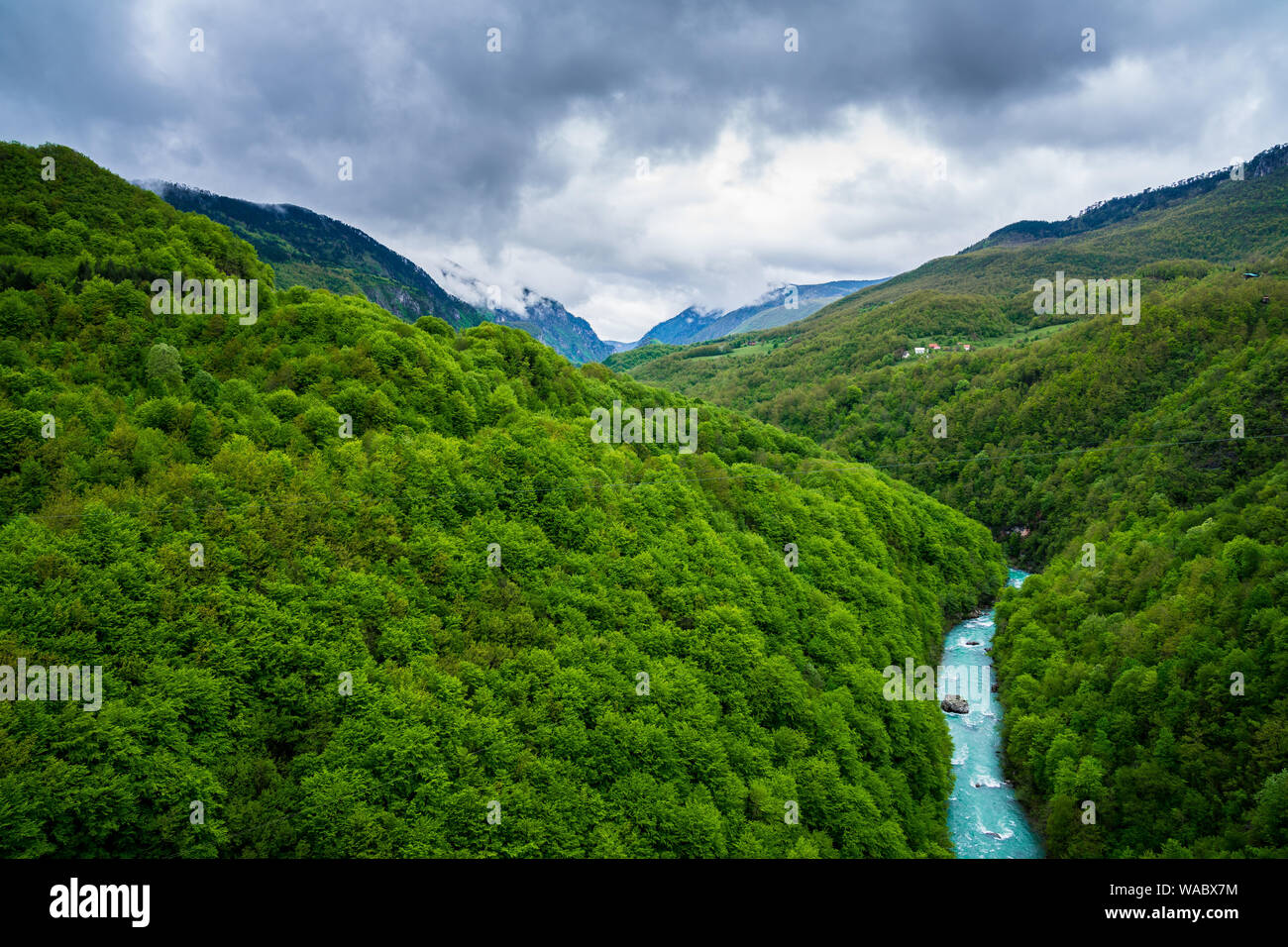 Montenegro, Wonderful majestic green tara canyon nature landscape ...