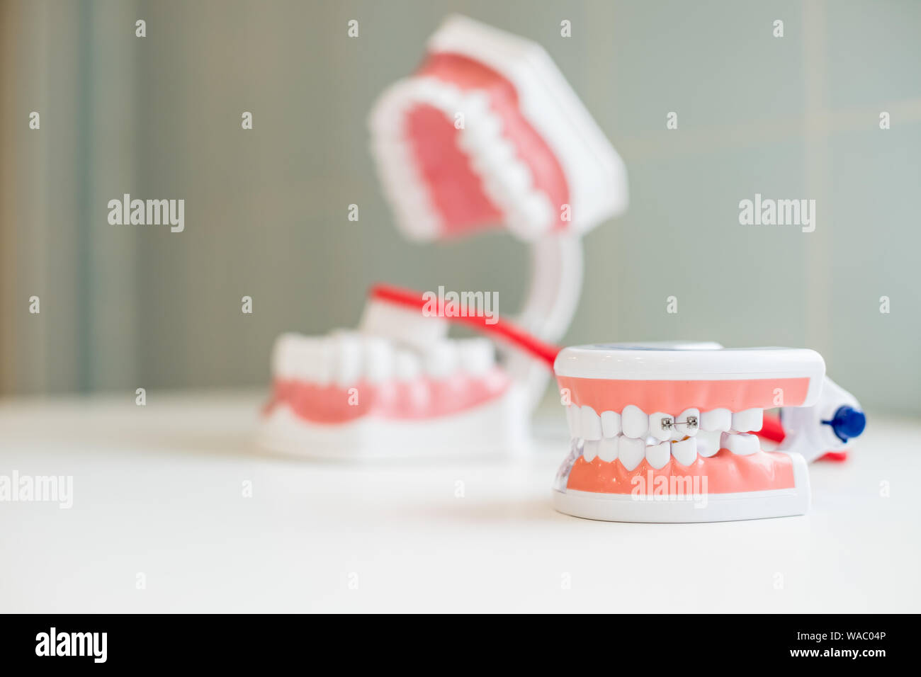 Closeup demonstration on soft and slim bristle toothbrush brushing ...