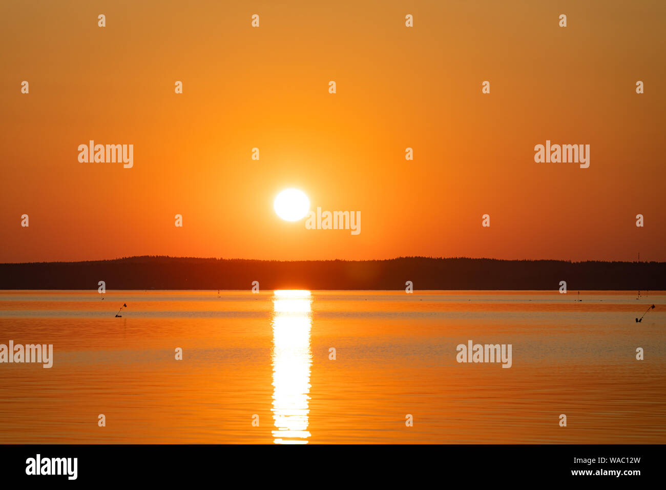 Sunrise above horizon forest hi-res stock photography and images - Alamy