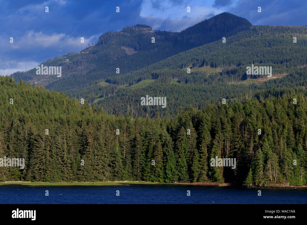 Port Alberni Inlet, Vancouver Island, British Columbia, Canada Stock ...