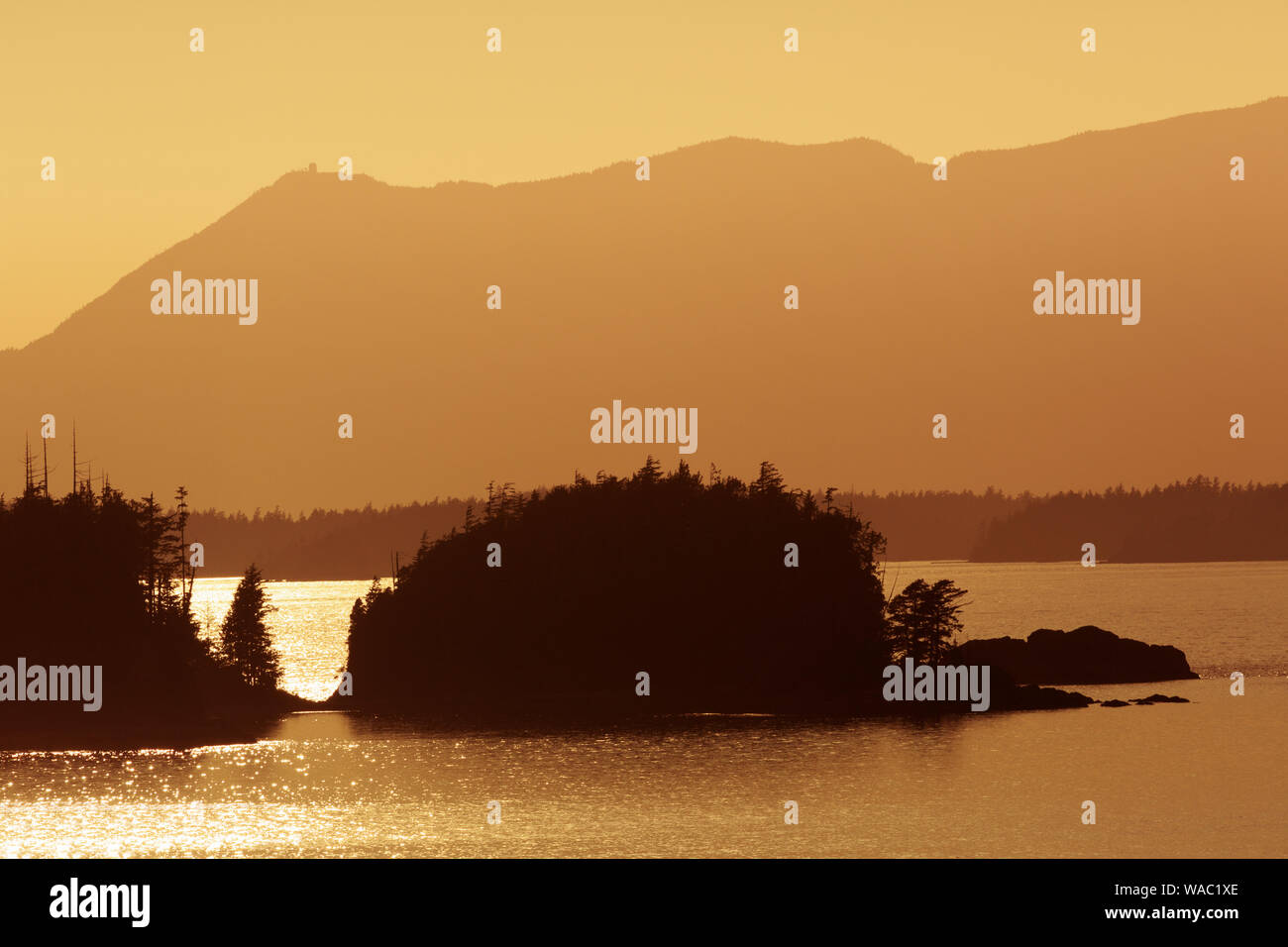 Port Alberni Inlet, Vancouver Island, British Columbia, Canada Stock ...