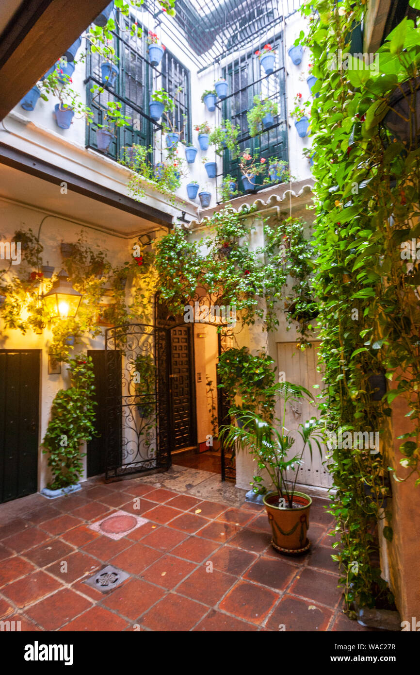 Plants in malaga hi-res stock photography and images - Alamy