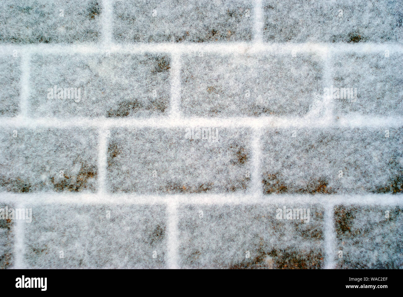 background, texture - snow-covered granite pavement tiles Stock Photo ...