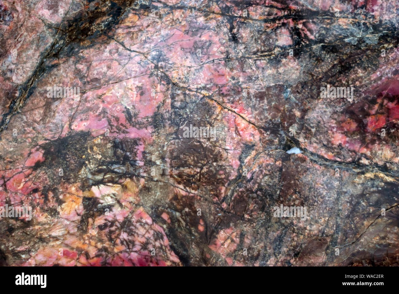 background, texture - natural pink rhodonite rock surface Stock Photo ...