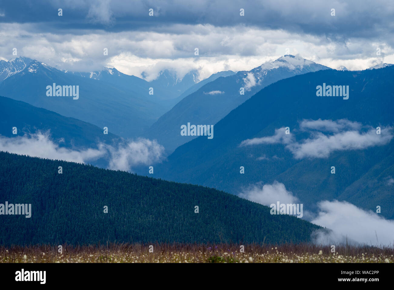 Mountain range view from hurricane hill in olympic national park hi-res ...