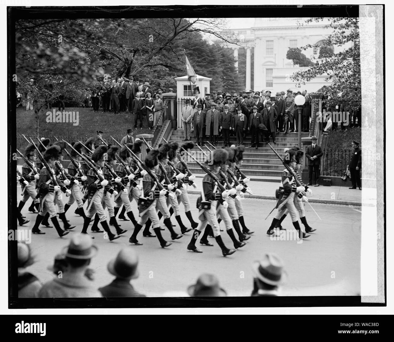 Templeton Cut Out Stock Images & Pictures - Alamy