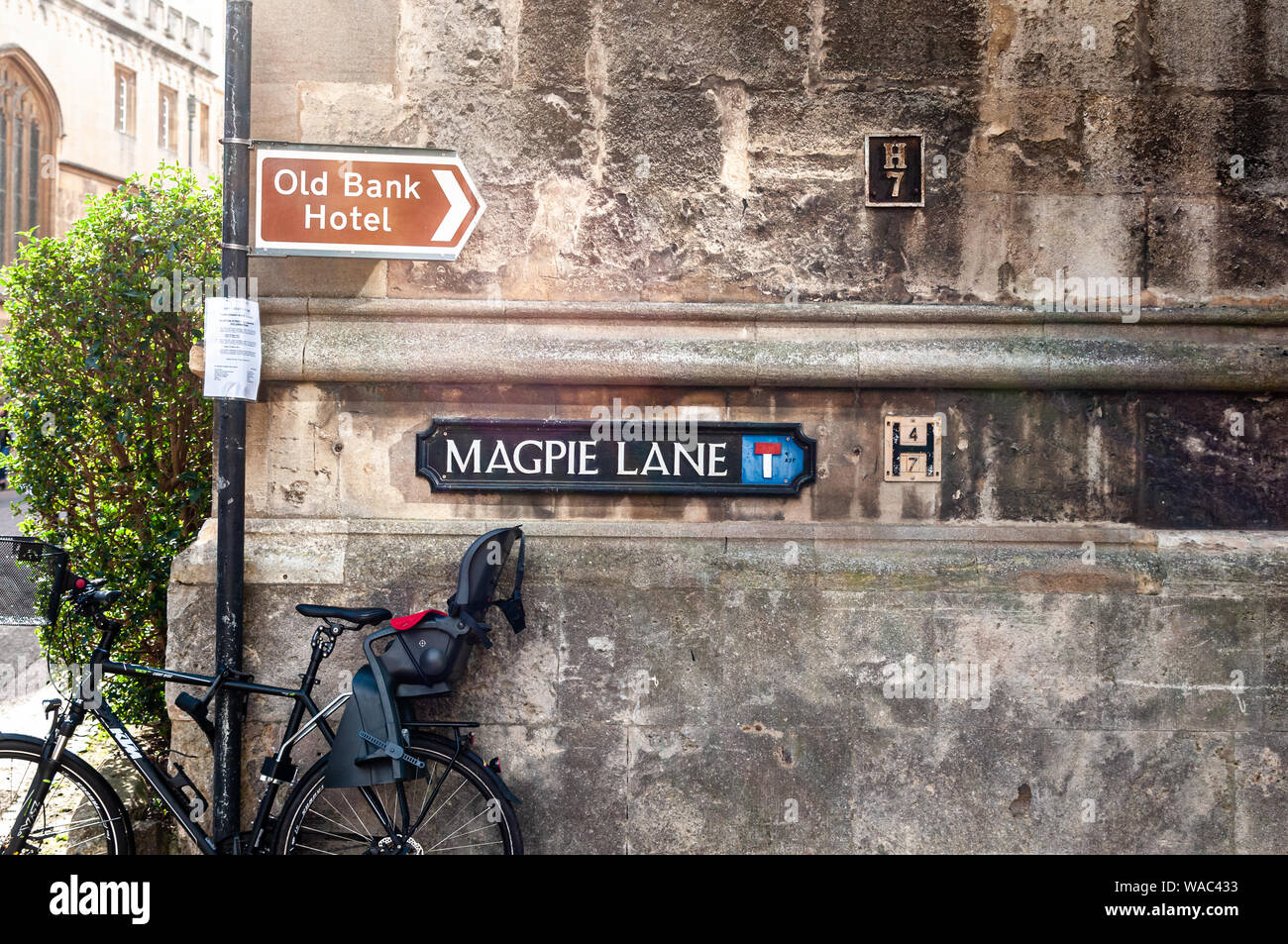 Magpie lane hi-res stock photography and images - Alamy