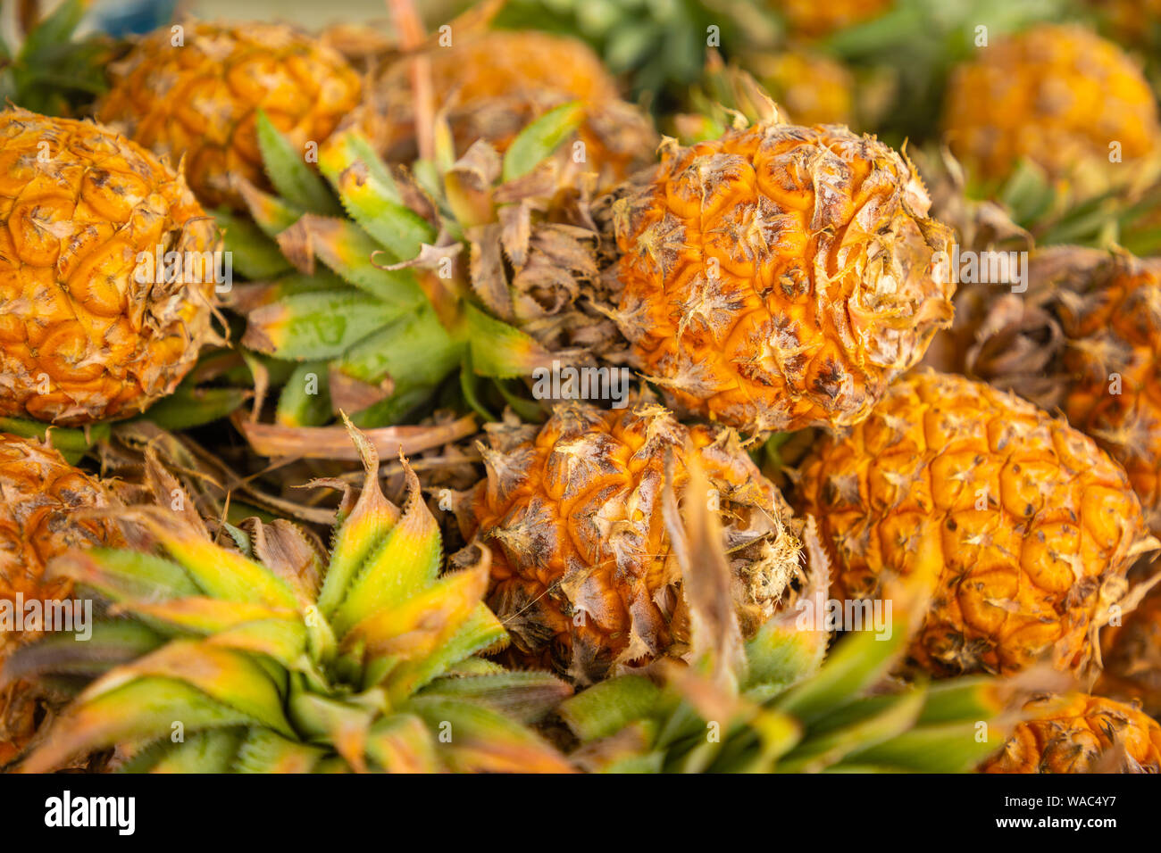Mini ananas hi-res stock photography and images - Alamy