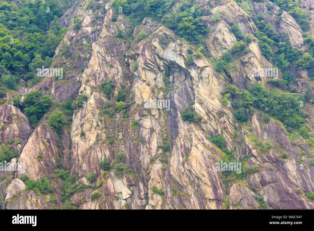 the folds and stratifications originated due to high pressures and ...