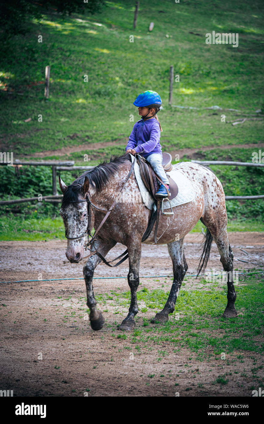 Full length of young female child with horse during riding lesson in ...