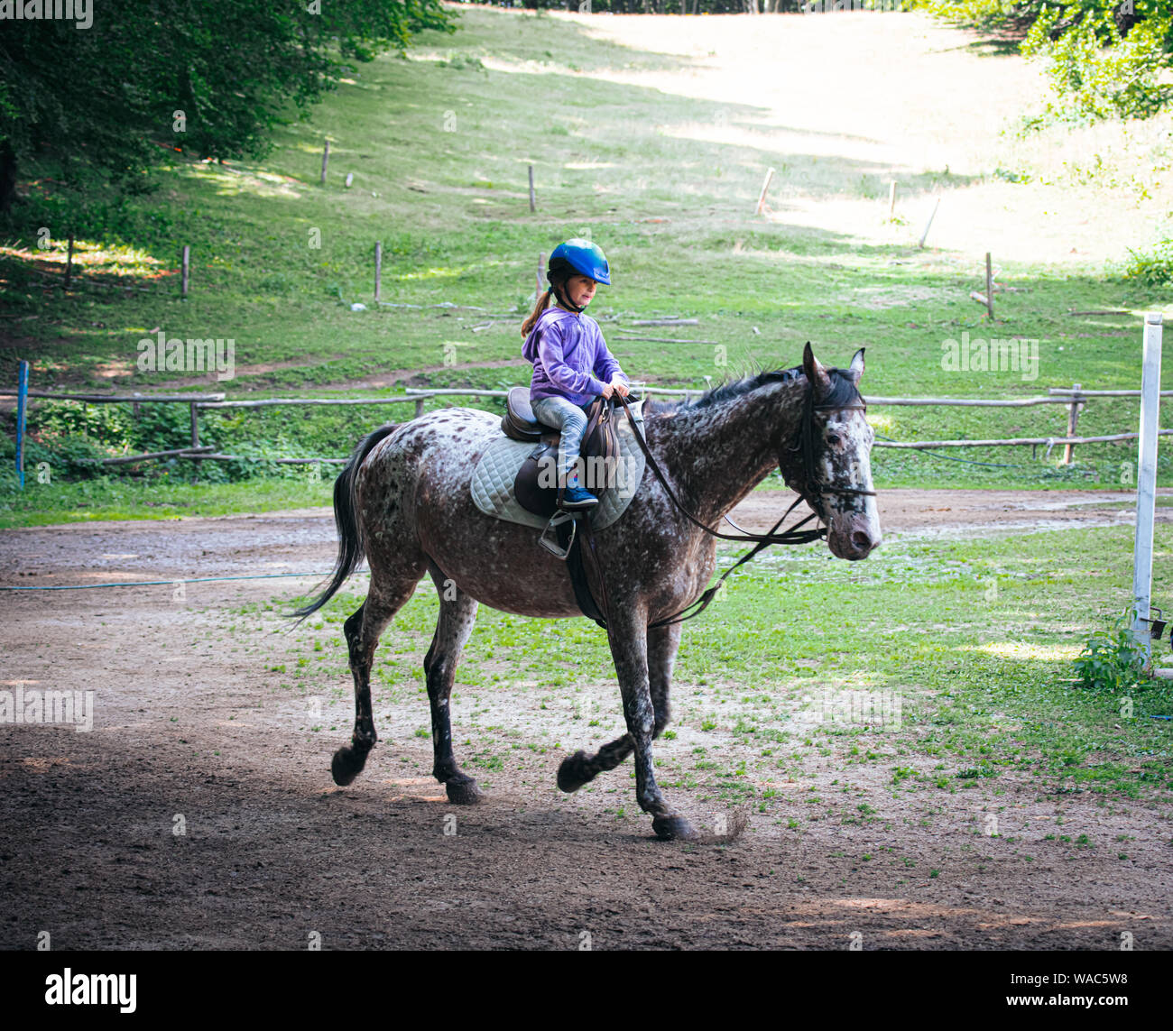 Full length of young female child with horse during riding lesson in ...